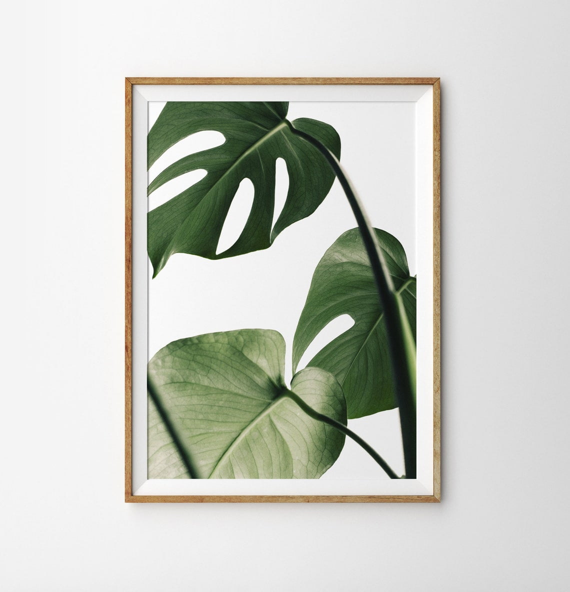 Monstera Leaf Print Wall Art Prints Tropical Leaf Print Botanical Wall ...