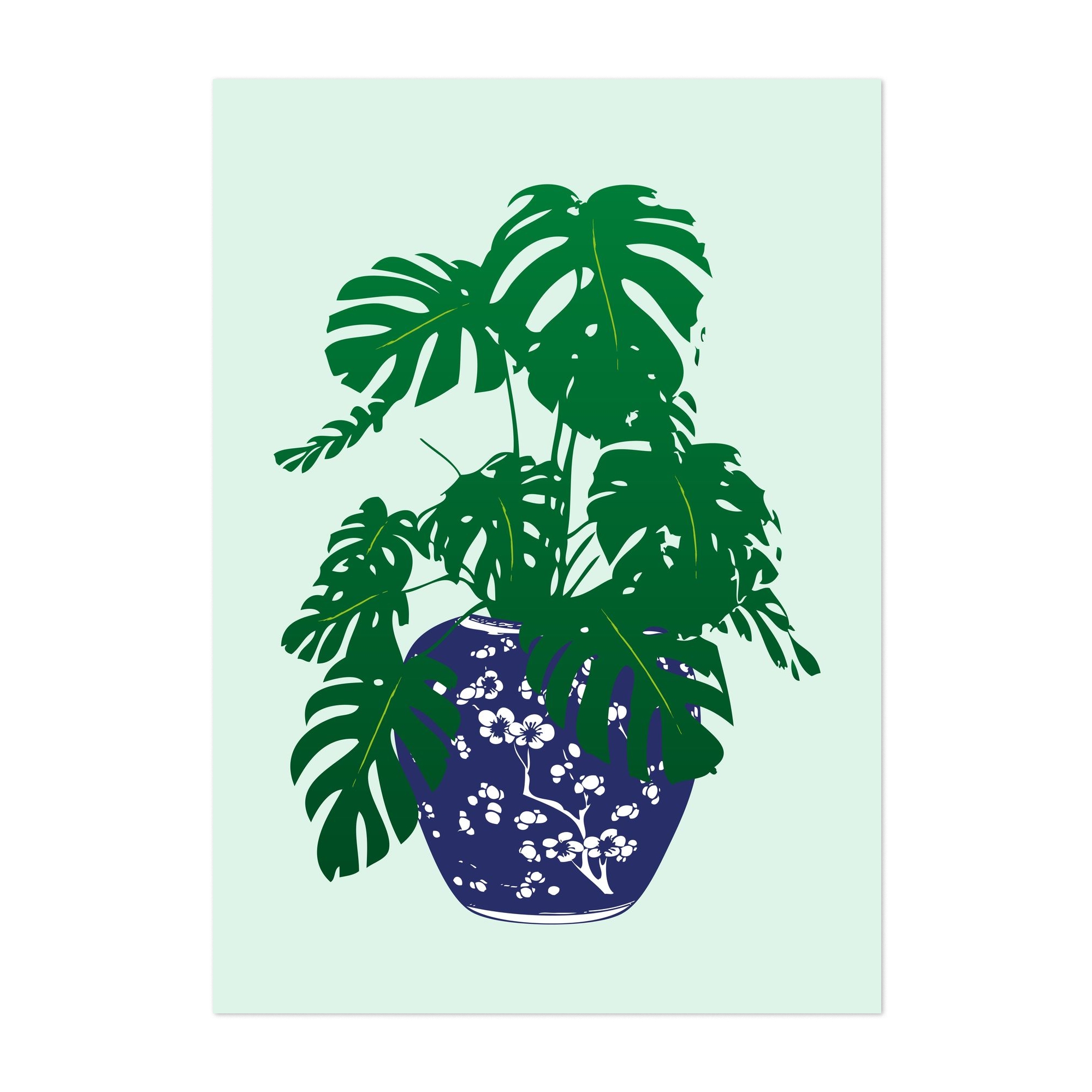 Monstera Plant in Blue and White Plant Pot | Monstera Leaves | House ...