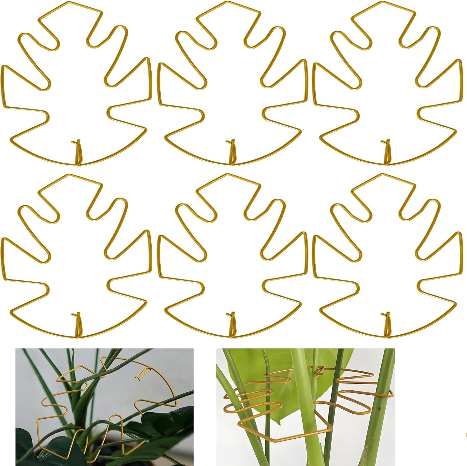 Monstera Plant Support for Indoor Plants, 6 Pack Plant Stabilizer for ...