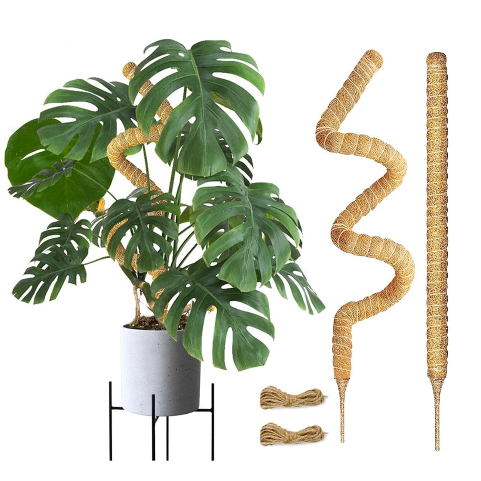Monstera Plant Support Moss Pole, 24 Inch Bendable 2 Pack Coco Coir ...