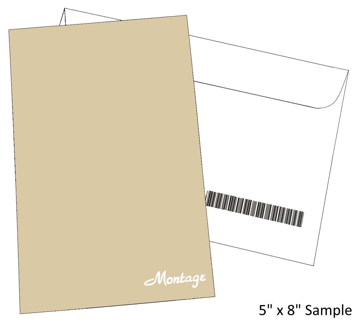 Paint Samples in Paint - Walmart.com