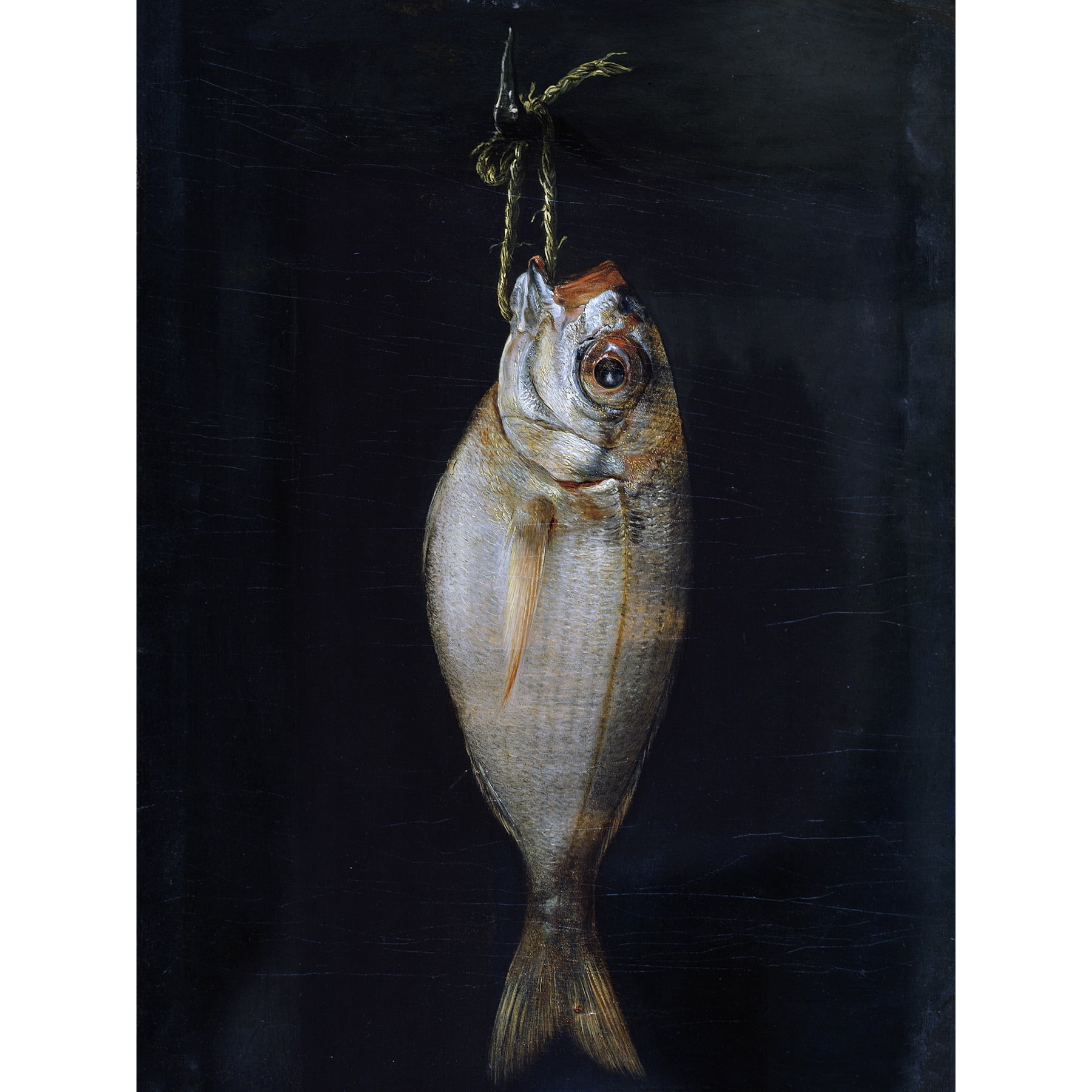 Montalvo Bream Fish Fishing Painting Extra Large Art Print Wall Mural ...