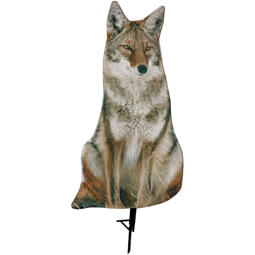 Montana Decoy 0048 Sitting Pose 2D Coyote Hunting Decoy w/ Stake ...