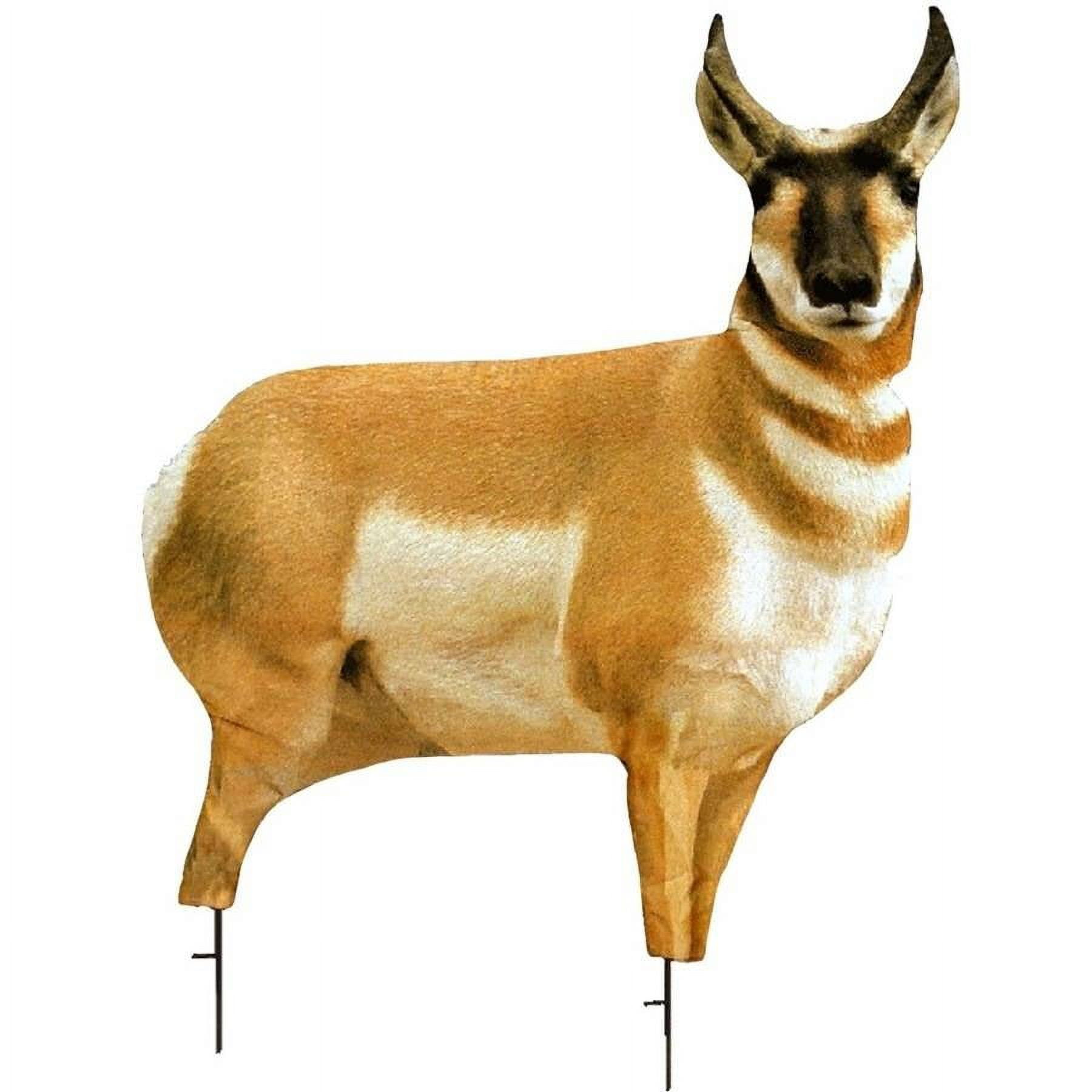 Bird Buck