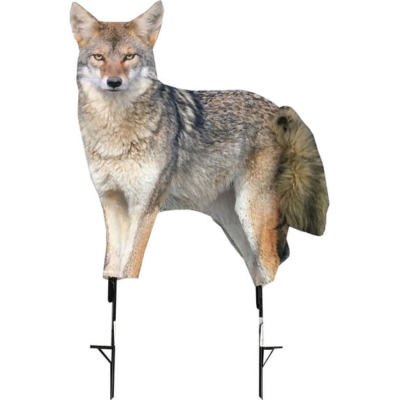 Montana Decoy Coyote Song Dog Predator Game, Realistic & Lightweight ...