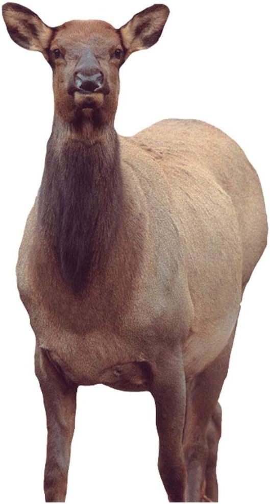 Montana Decoy Eichler Elk - Walmart.com