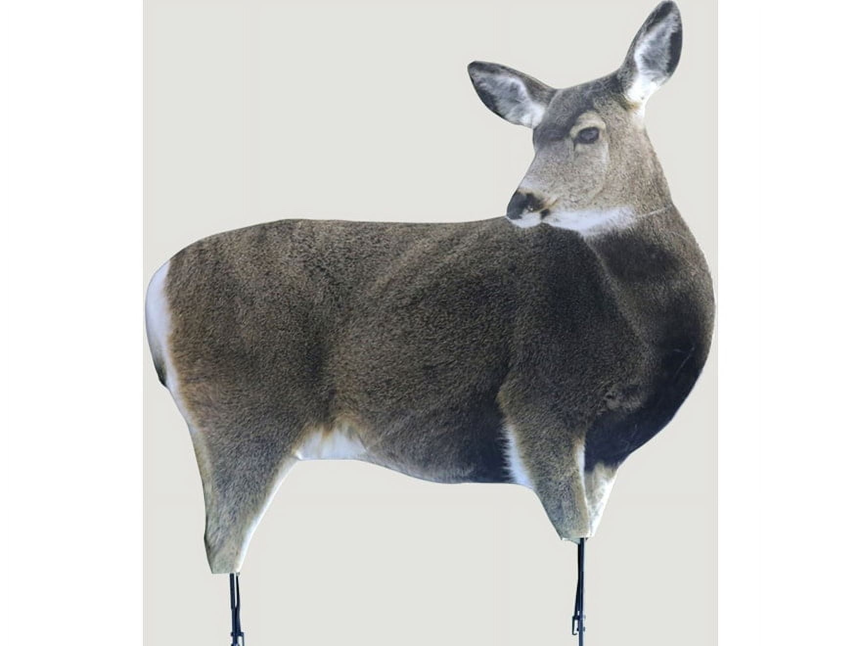 Deer Mini Mule