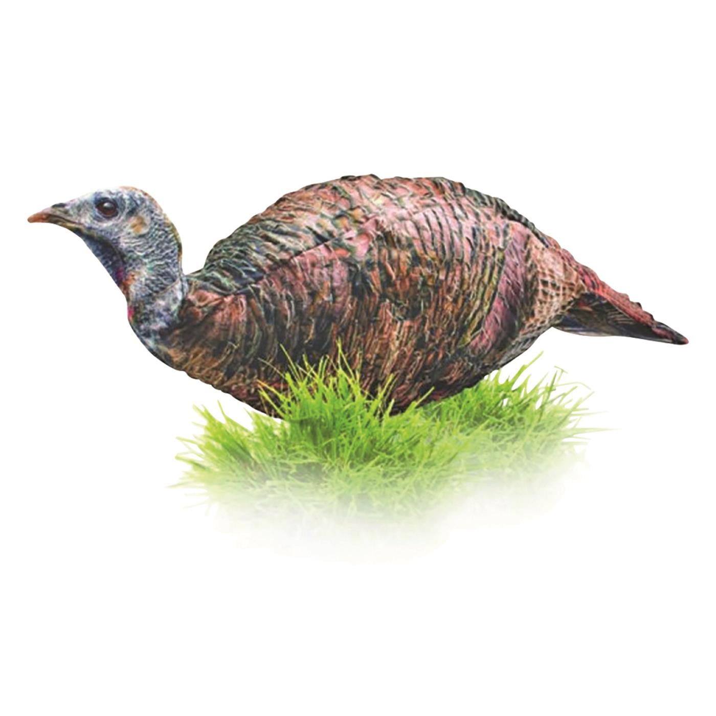 Montana Decoy Co. Montana Decoy Turkey Miss Purr-fect Xd 3d Hen ...