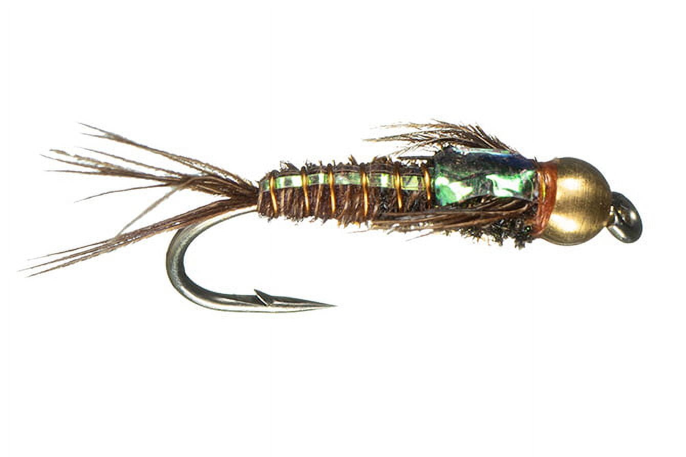 Montana Fly Company Beadhead Pheasant Tail-Flashback - Size 14 - 1 Dozen - Walmart.com
