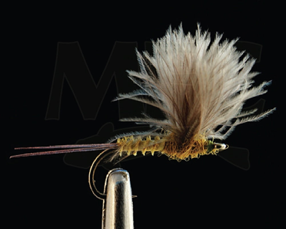 Montana Fly Company CDC Comparadun - BWO #20, 1/2 DOZ - Walmart.com