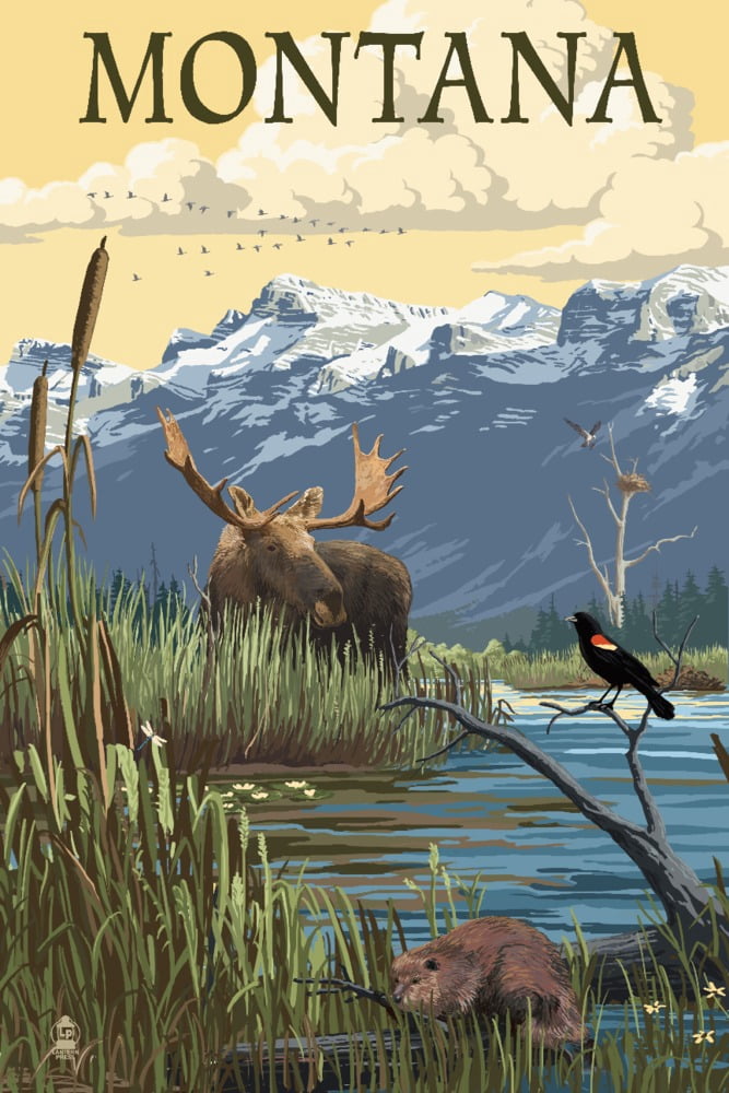 Montana, Moose, Mountain and Marsh Scene (16x24 Giclee Gallery Art ...