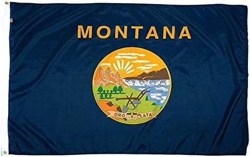 Montana Nylon State Flag, Made in USA, 5x8 - Walmart.com