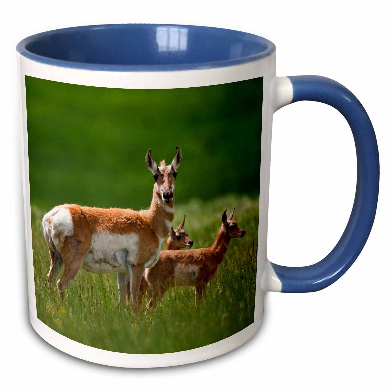 3drose, Montana, Pronghorn Wildlife with Babies - Us27 Ldi0013 - Larry ...