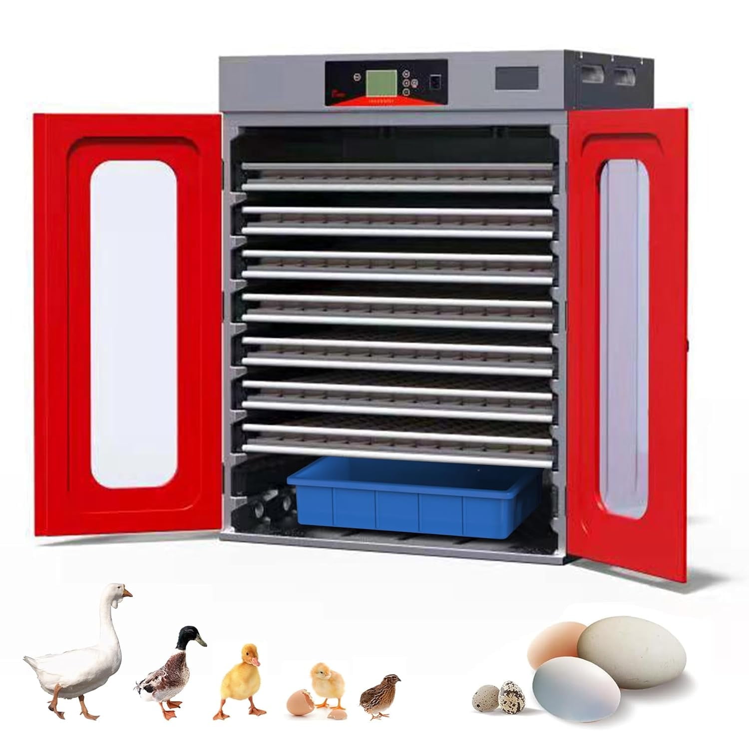 Montary 1000 Commercial Incubator: Auto Temp/Humidity Control & Turning ...