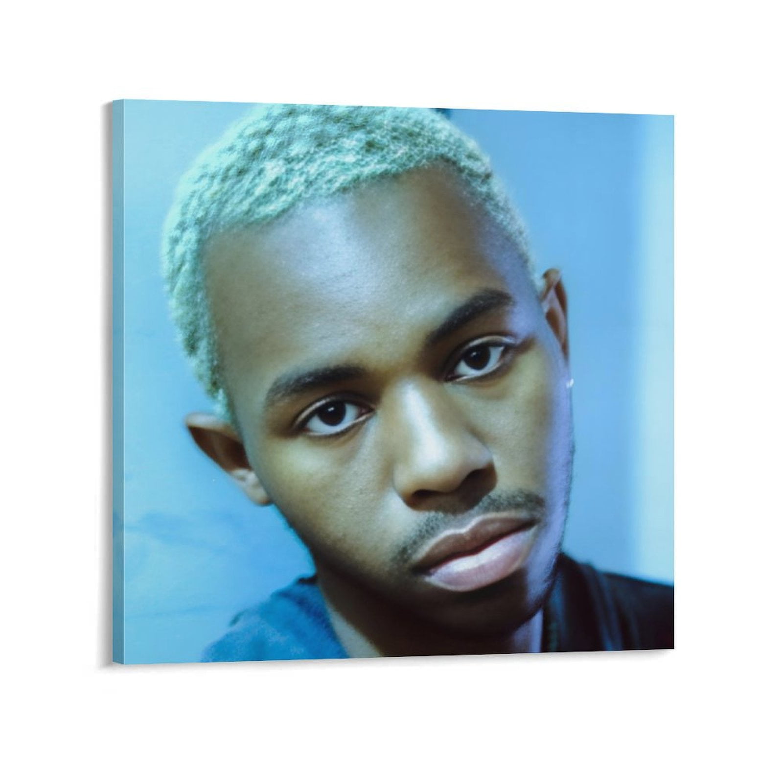 Montell Fish Poster (6) Canvas Art Poster and Wall Art Picture Print ...