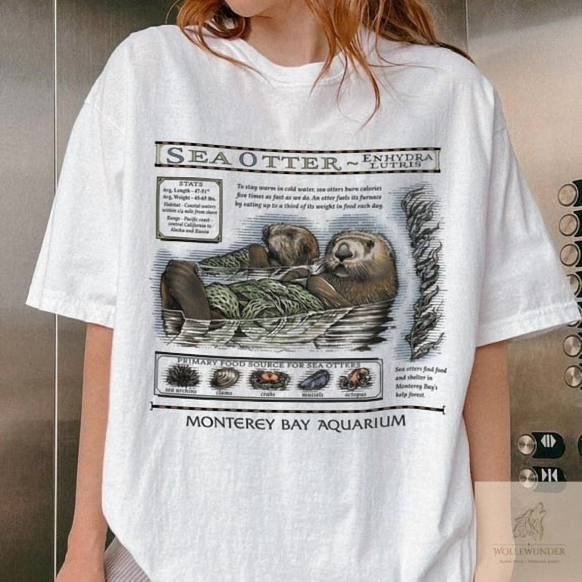 Monterey Bay Aquarium Sea Otter T-Shirt Otter Merch Shirt Casual Crew ...