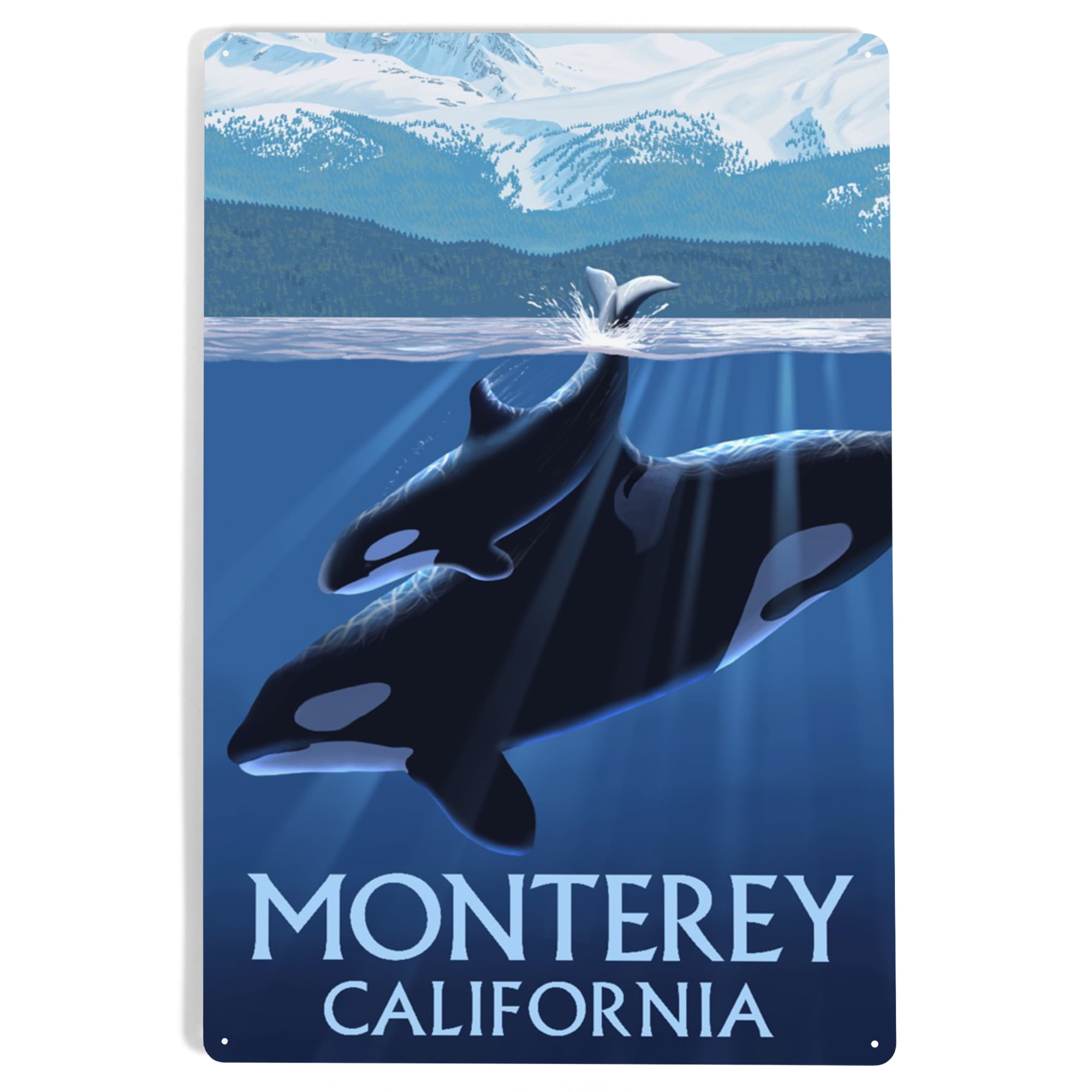 Monterey, California Orca and Calf (Mountains) (12x18 Aluminum Art ...