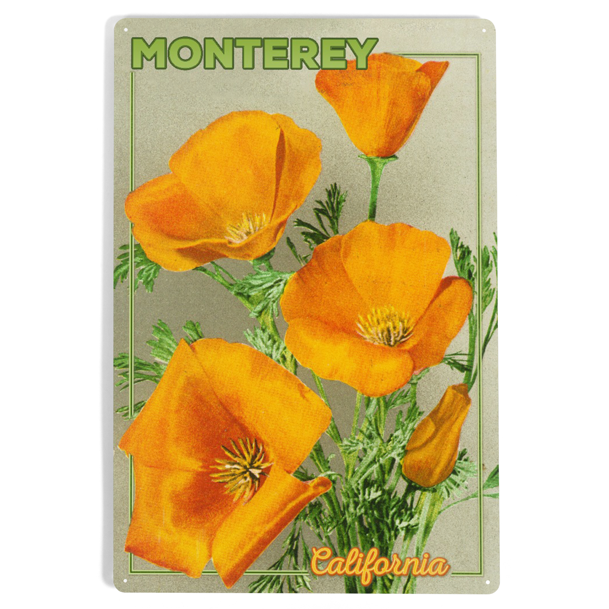 Monterey, California, Poppies (12x18 Aluminum Art, Indoor Outdoor Metal ...