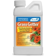 BONIDE Lawn Weed Killer, Ready to Use Broadleaf Weed Control for ...