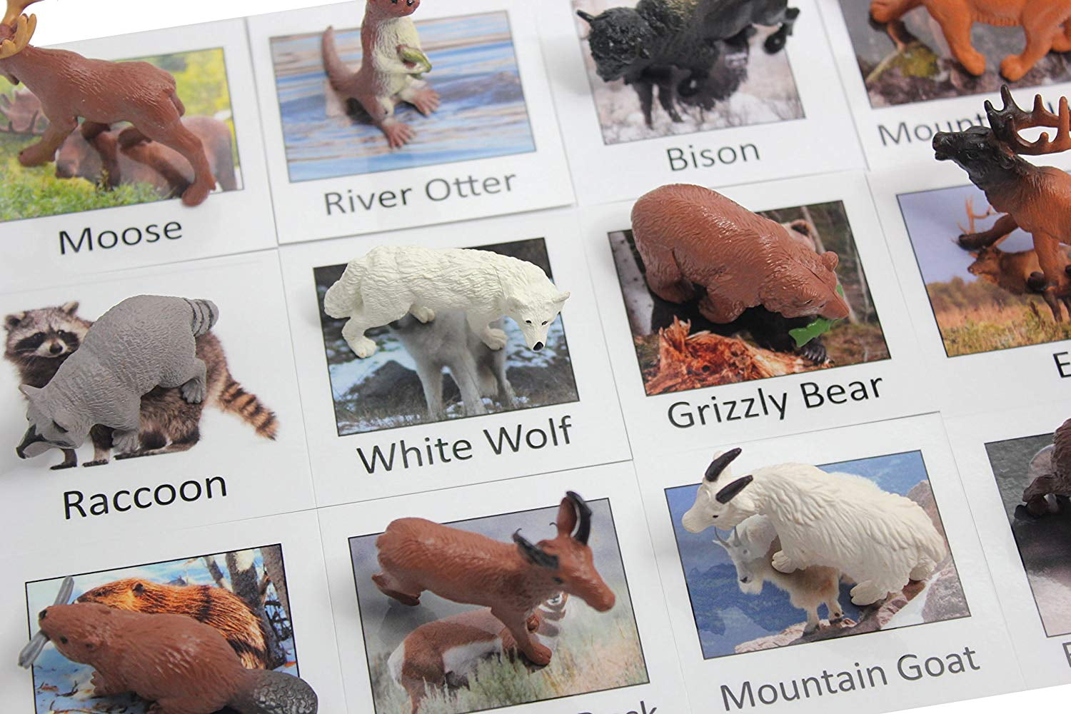 Montessori Animal Match - Miniature North American Wildlife Animal Toy ...