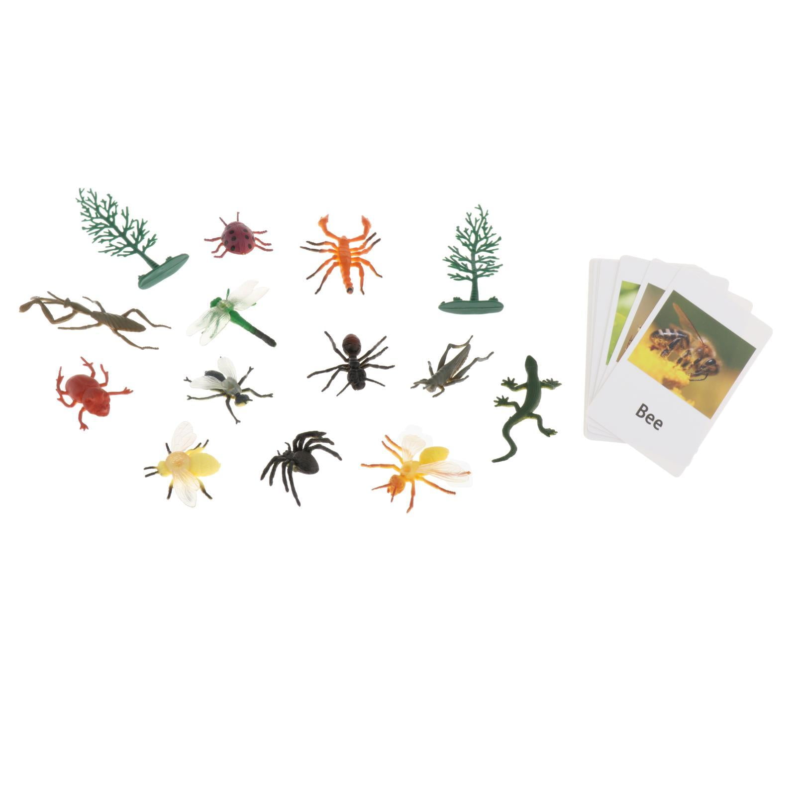 Montessori Animal Match Montessori Materials Toddlers Kids Early ...