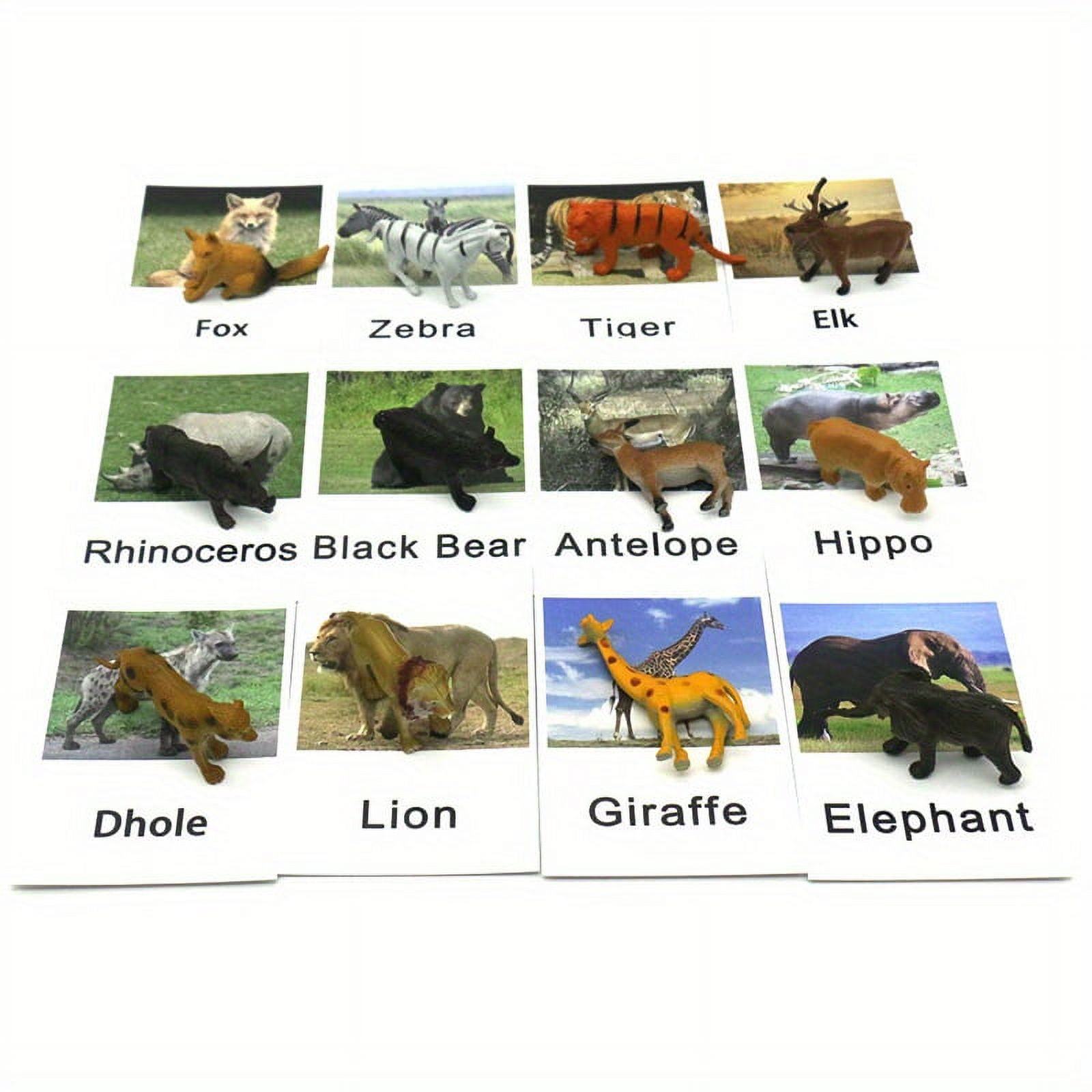 Montessori Animal Matching Card Cognitive Kids Educational Toy Animal ...