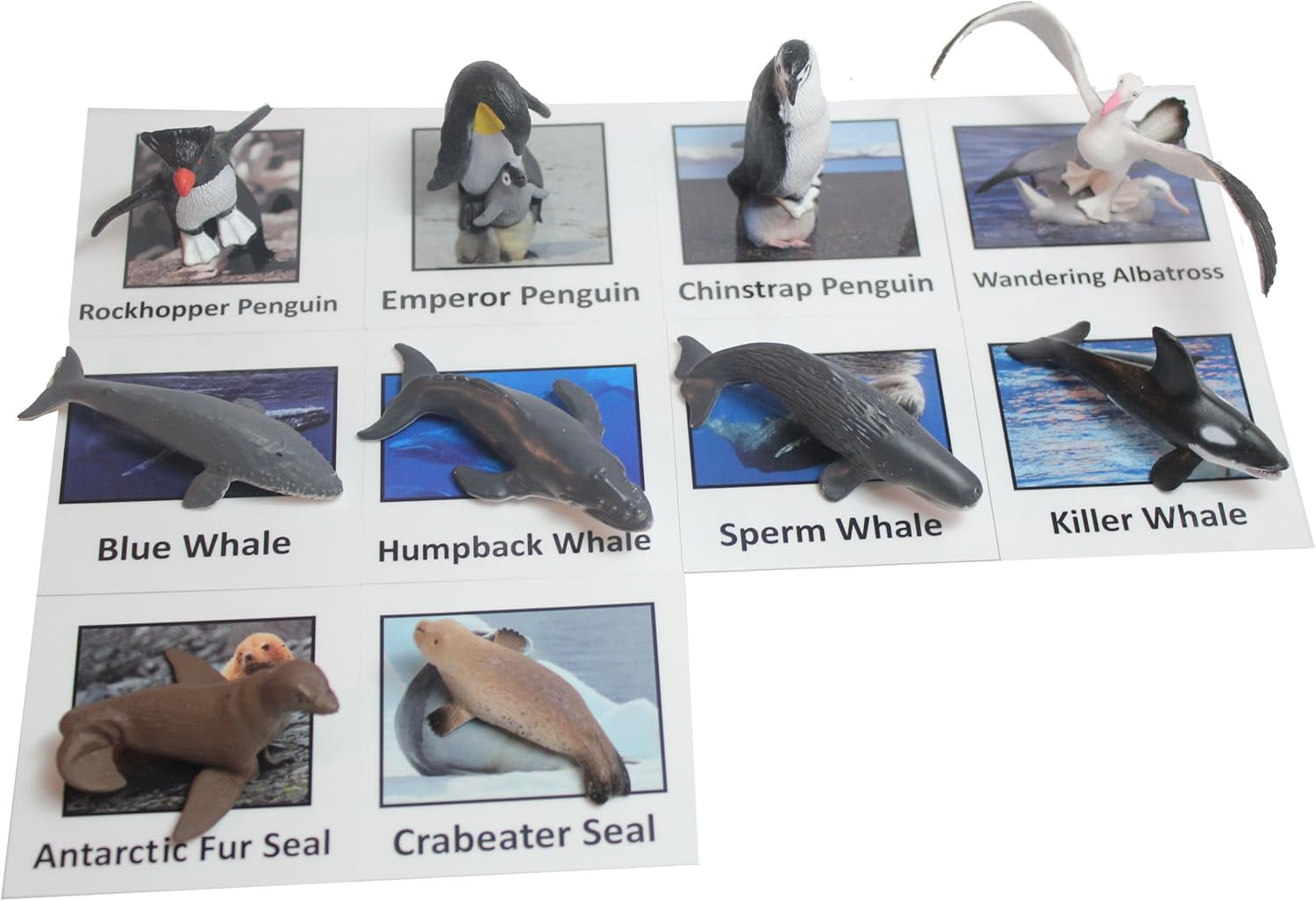 Montessori Antarctic Polar Animal Match - Miniature Arctic Animal Toy ...