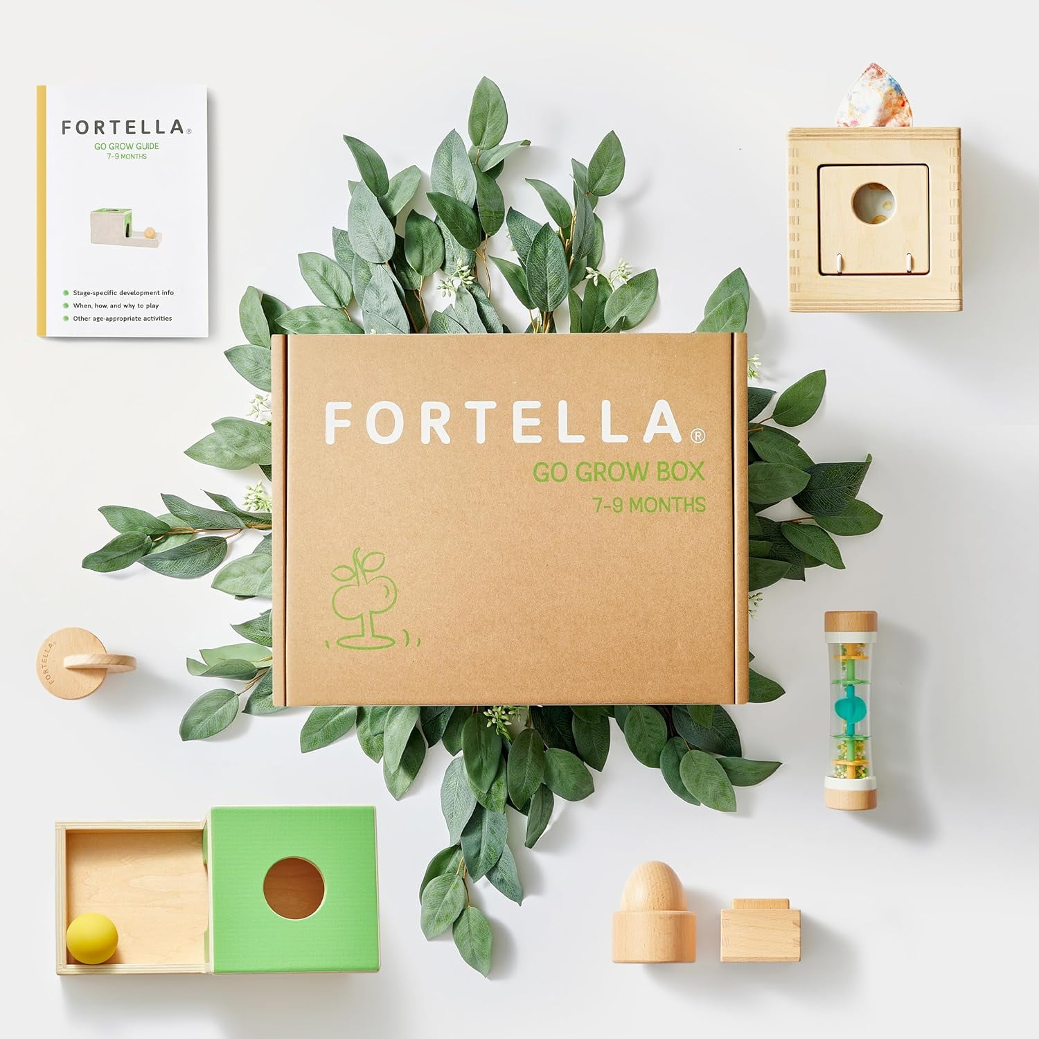 Montessori Baby Toys Kit for Newborn Babies 7-9 Months, Wooden Learning ...