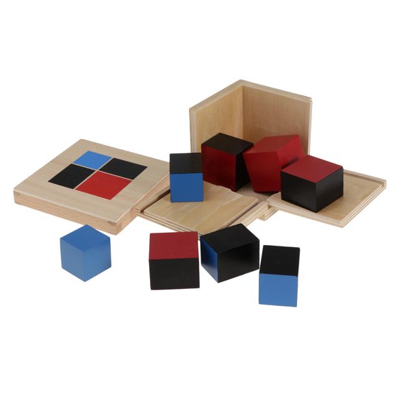 Number Cube
