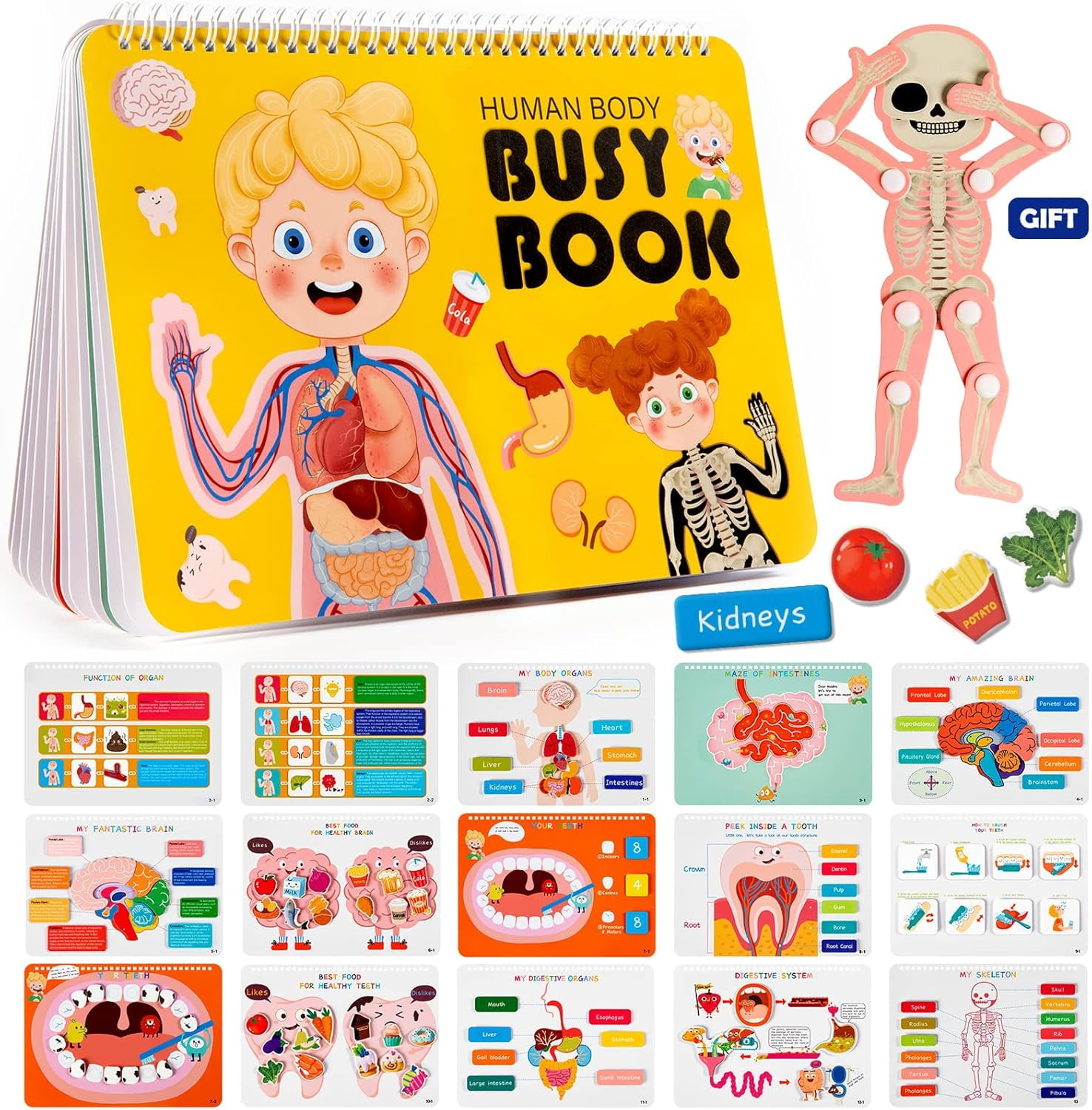 Montessori Busy Book for Kids, Human Body Anatomy Book for Toddlers ...