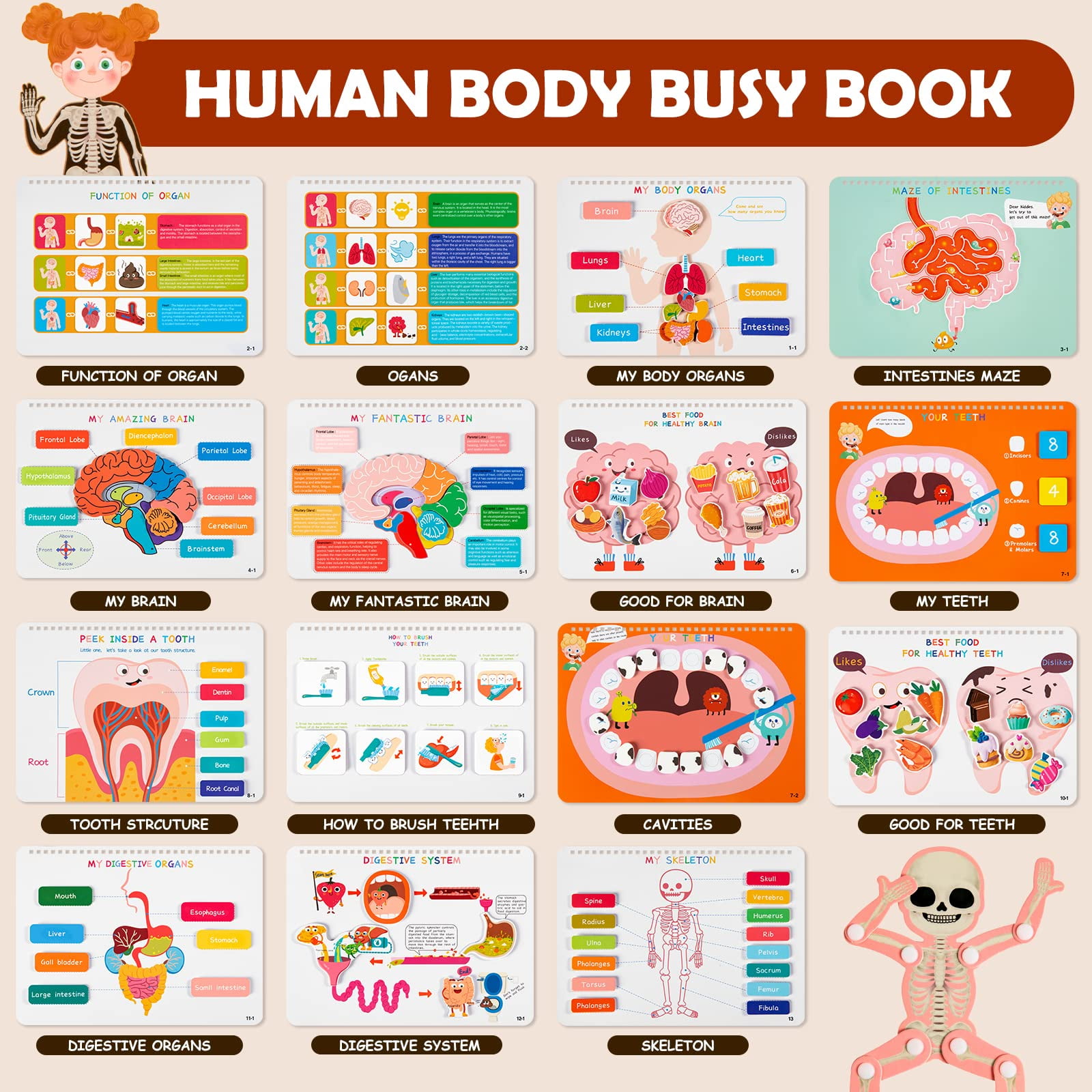 Montessori Busy Book for Kids, Human Body Anatomy Book for Toddlers ...