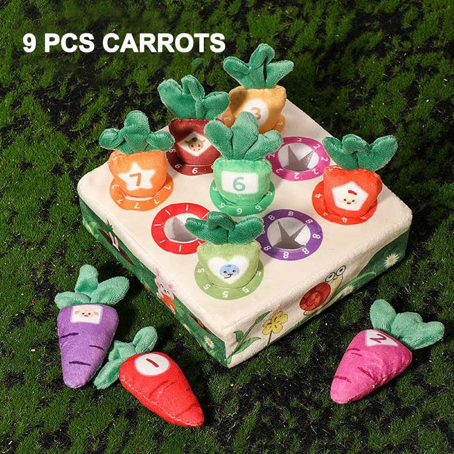 Montessori Carrot Pull Toddlers Toy, Numbers Colors Motor Skills Early ...