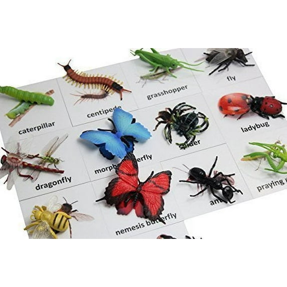 Montessori Insect Animal Match Cards and Figurines. Nomenclature ...