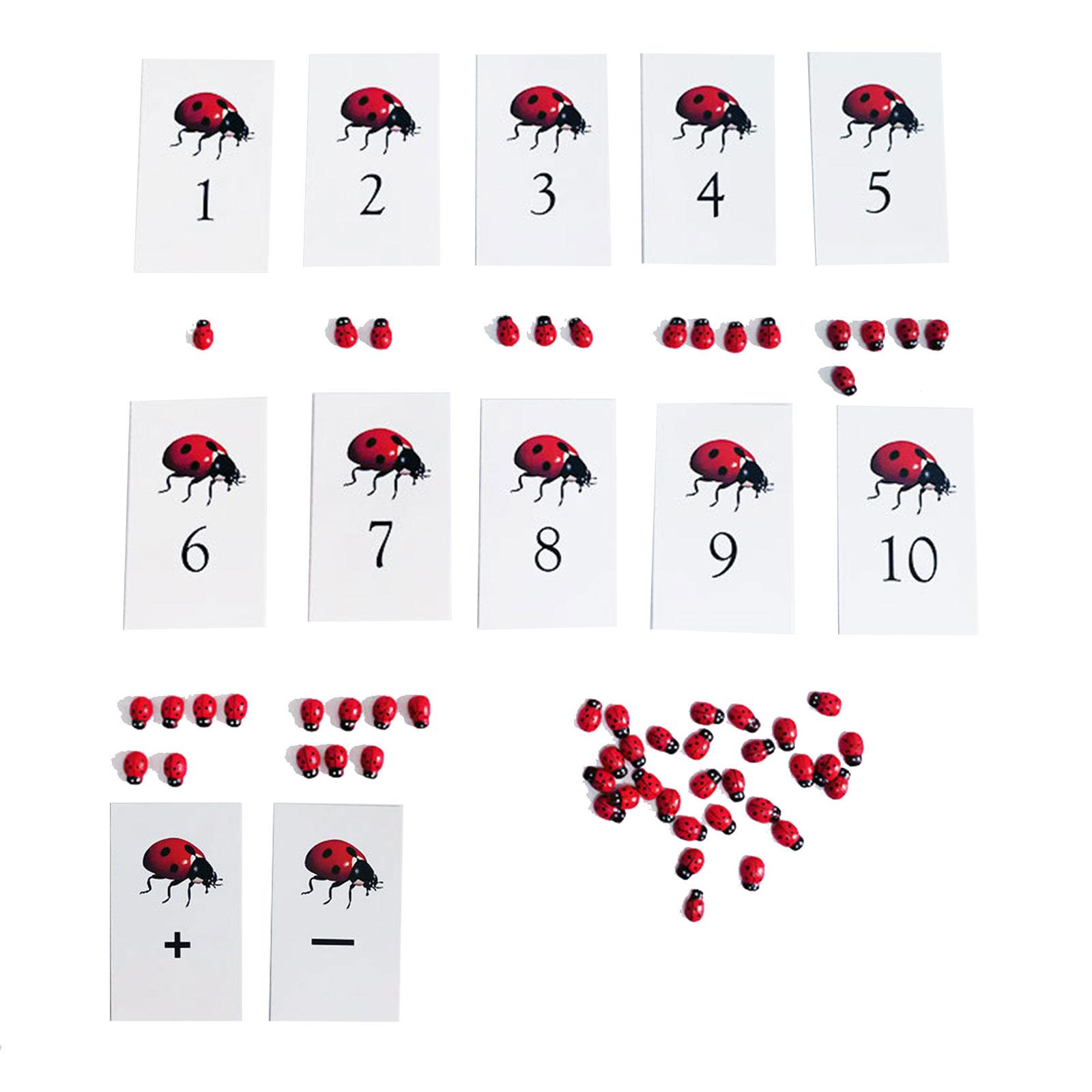Montessori Ladybug Number Math Toys,Early Addition and Subtraction ...
