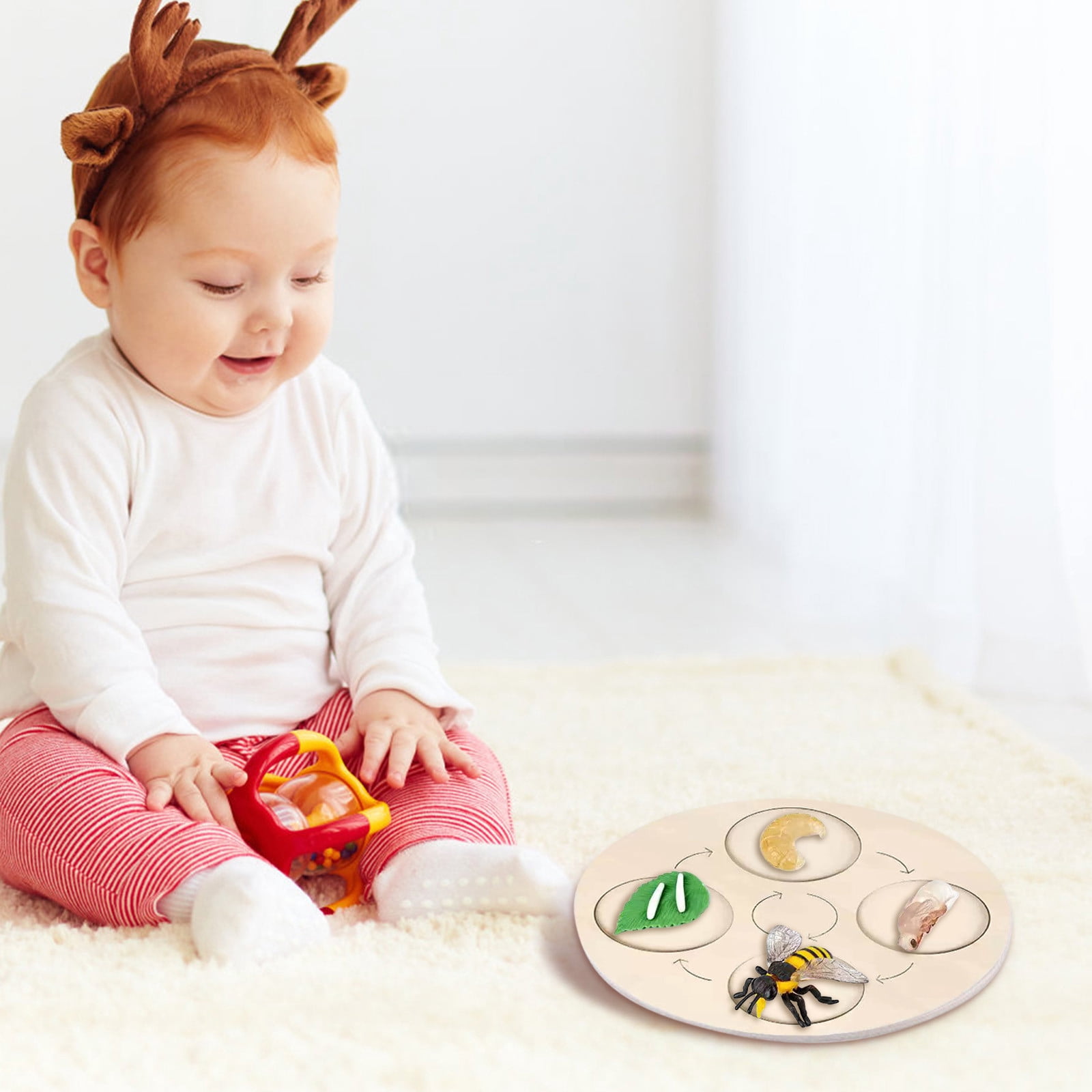 Montessori Life Cycle Growth Board Educational Learning Toy for ...