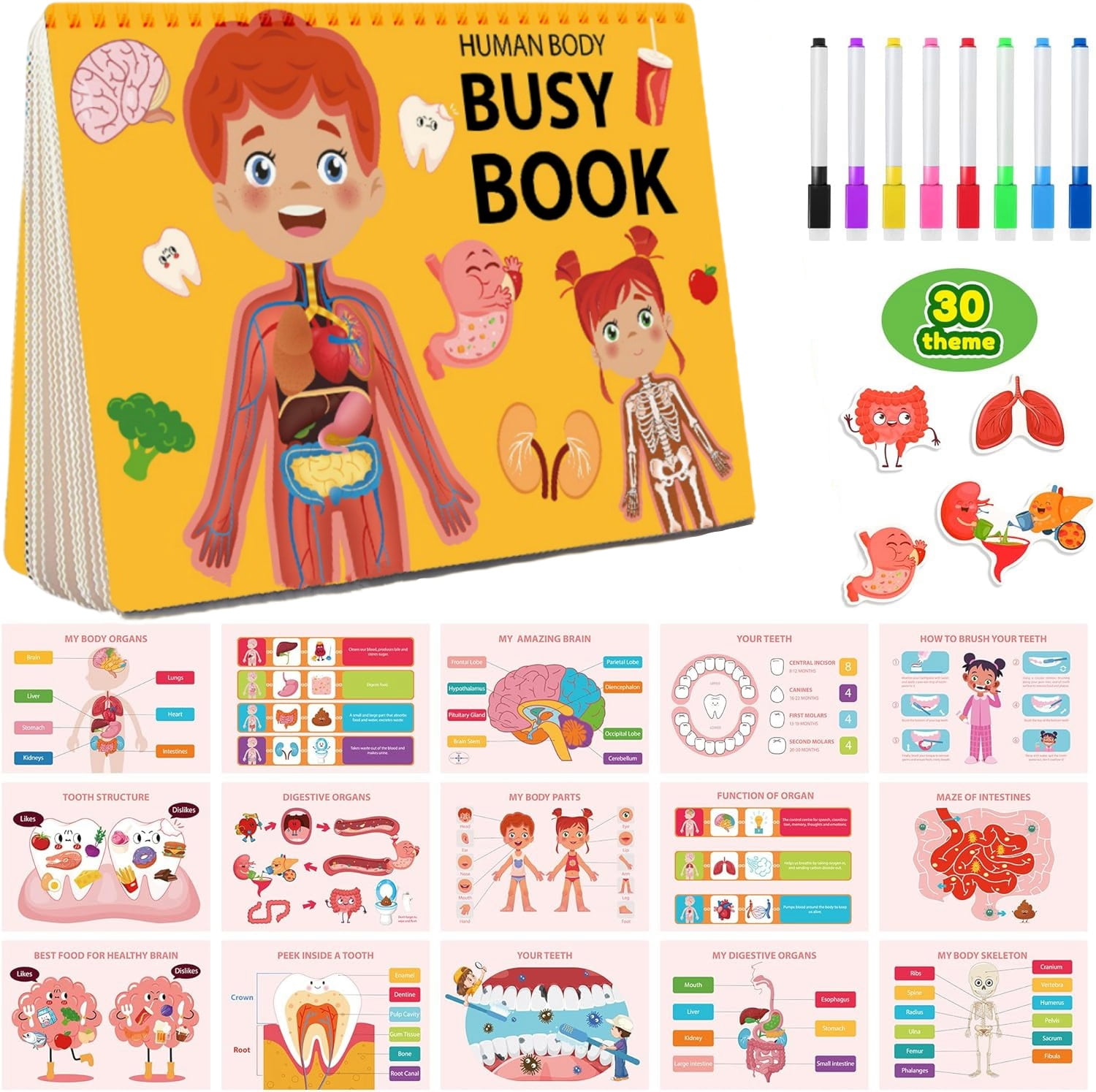 Montessori Preschool Busy Book for Toddlers, Human Body Anatomy Book ...