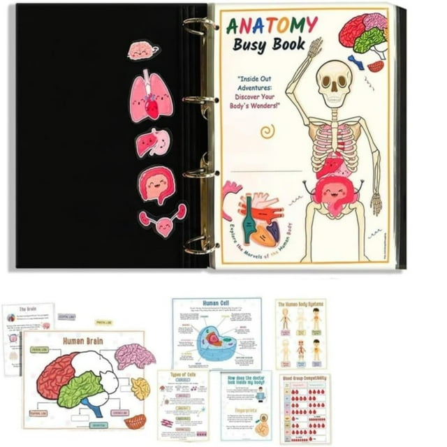 Montessori Preschool Busy Book for Toddlers Human Body Anatomy Book for ...