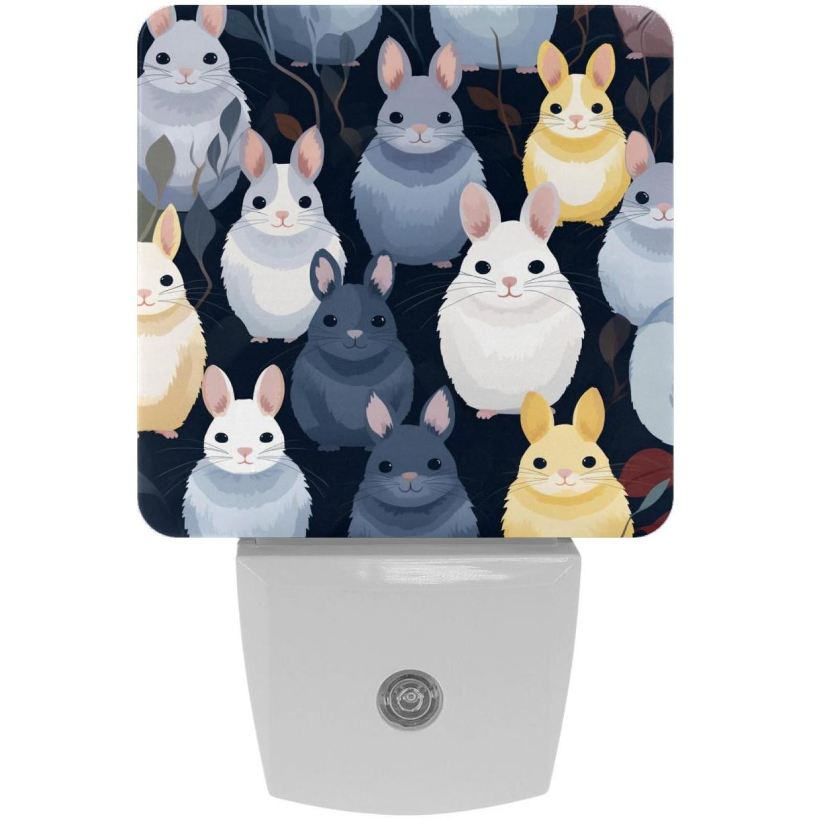 Monther's Day Chinchilla Set of 2 Monther's Day Small LED Night Lights ...