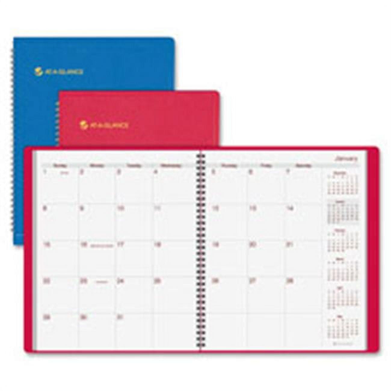Monthly Apptmt. Planner, Jan-Mar, Wirebound, 9 in. x 11 in., Blue ...