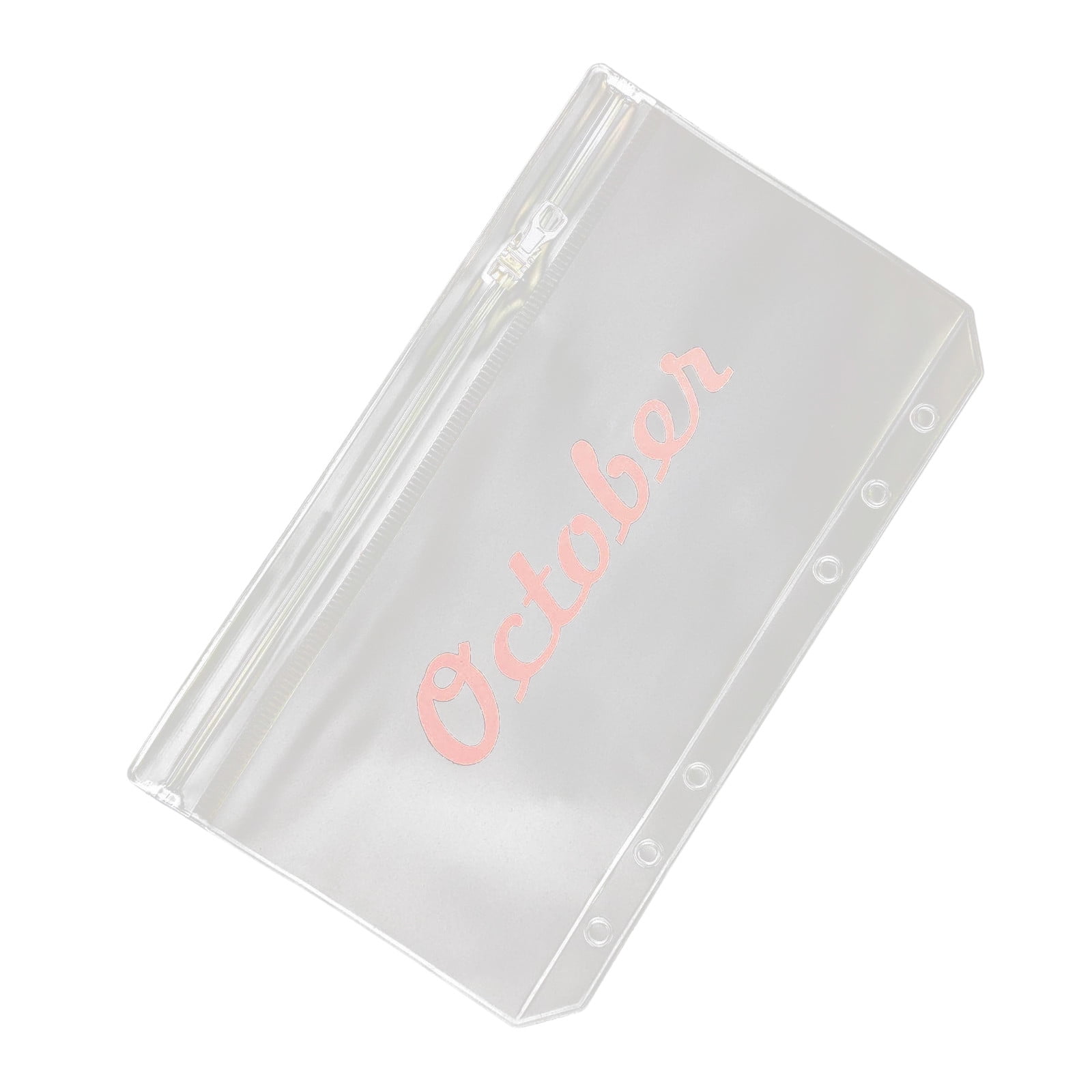 Monthly Budget Zipper Envelope 6x4 Inch Cash Planner Storage Folder for ...