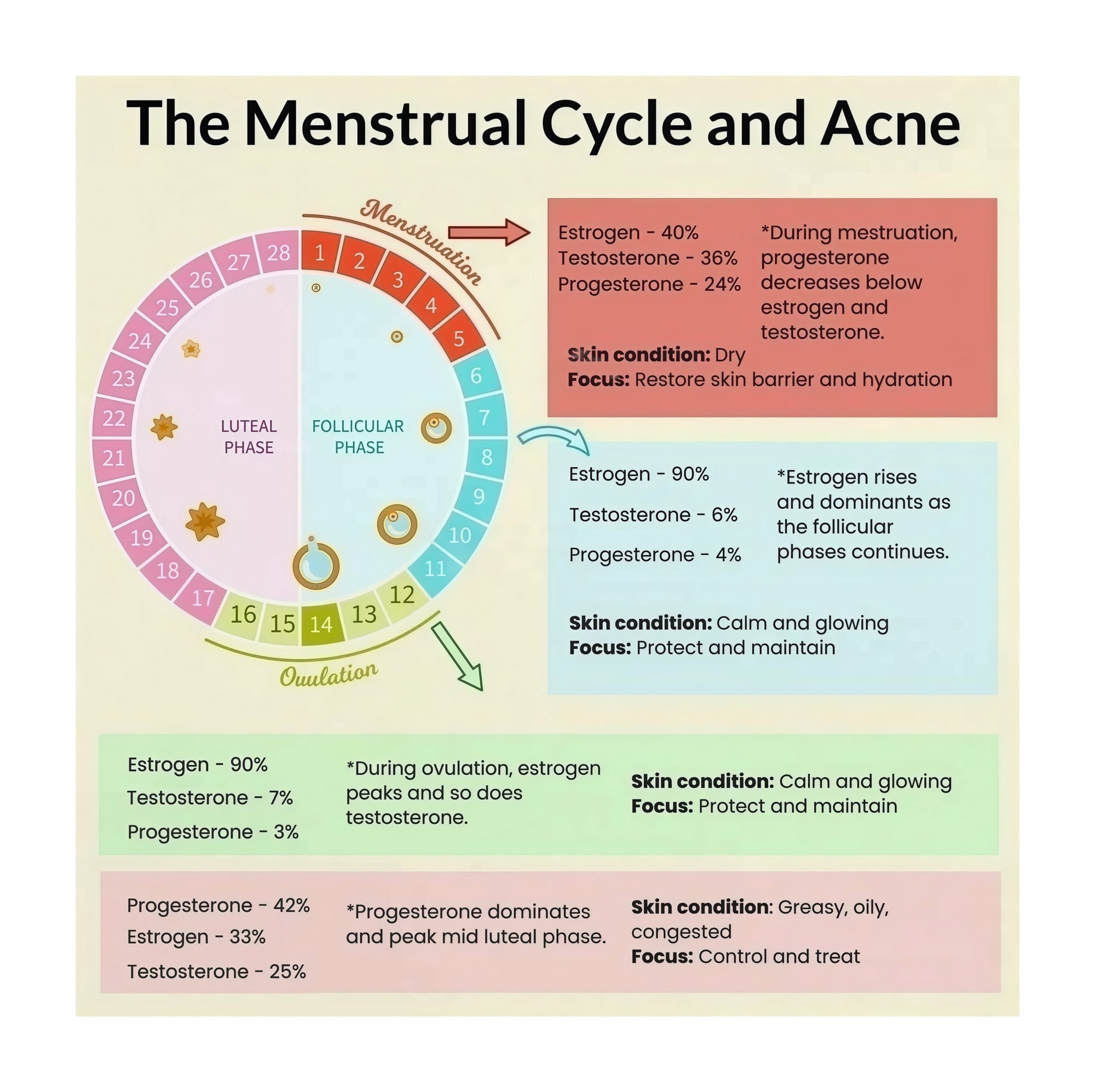 Monthly Cycle Poster Menstrual Phase Chart Reference - Walmart.com