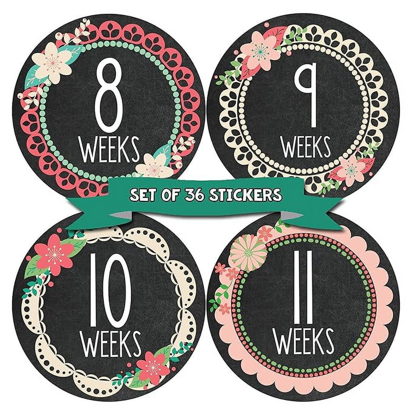 Months In Motion Pregnancy Weekly Belly Growth Stickers - Week to Week ...