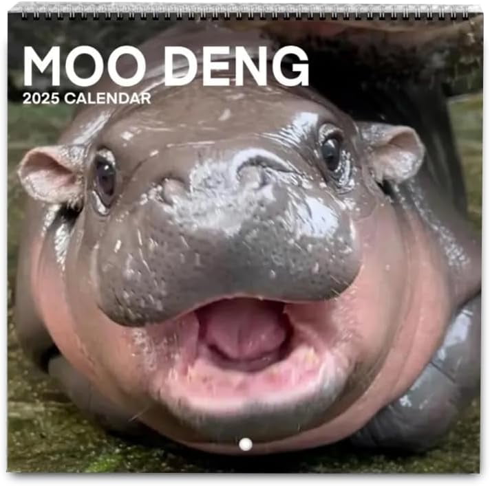 Moo Deng Calendar | 2025 Calendar, Funny Moo Deng Hippo Calendar 2025, Baby Pygmy Hippo MooDeng ...
