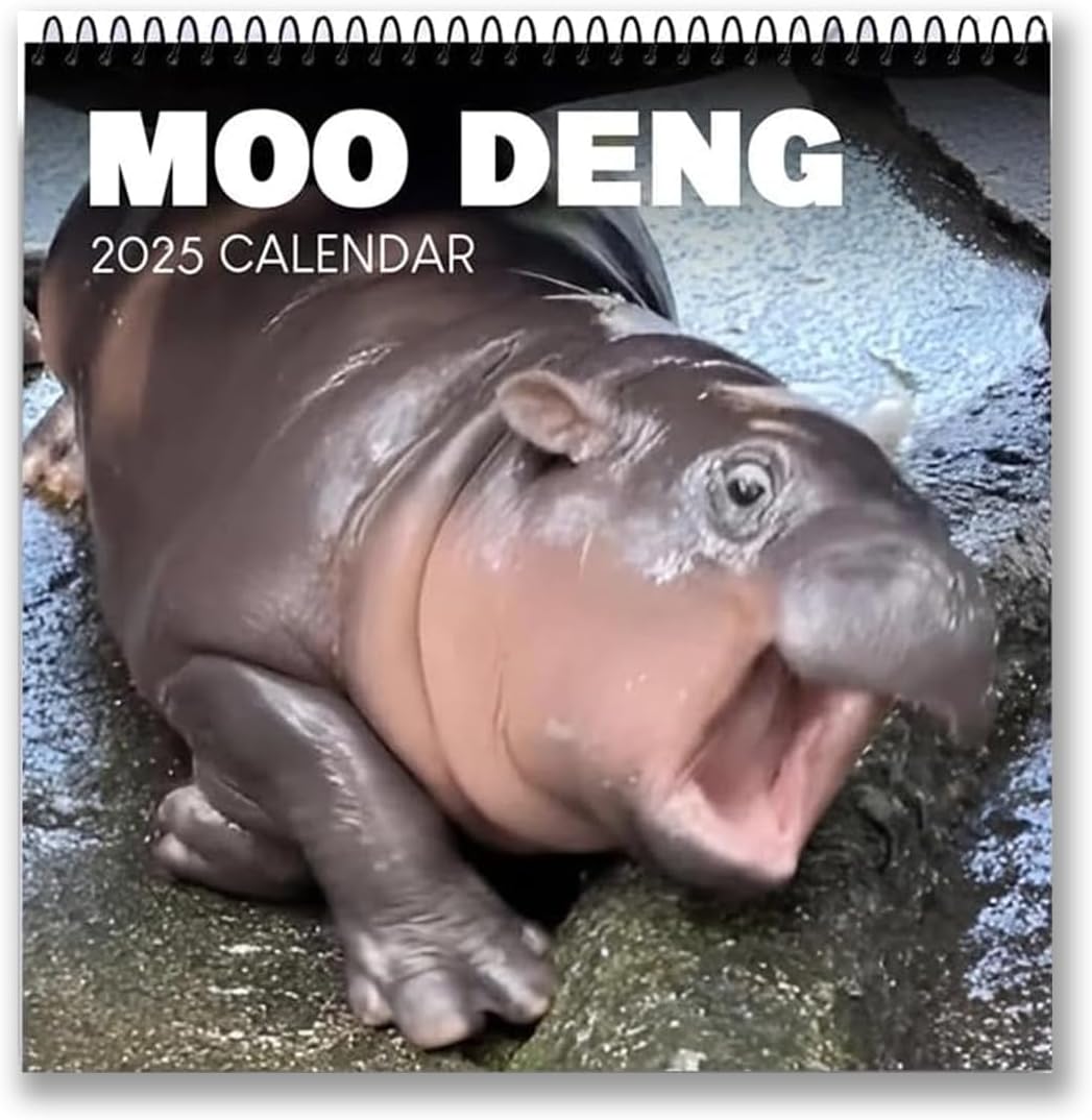 Moo Deng Calendar | 2025 Calendar,Funny Pygmy Hippo Wall Calendar,Moo ...