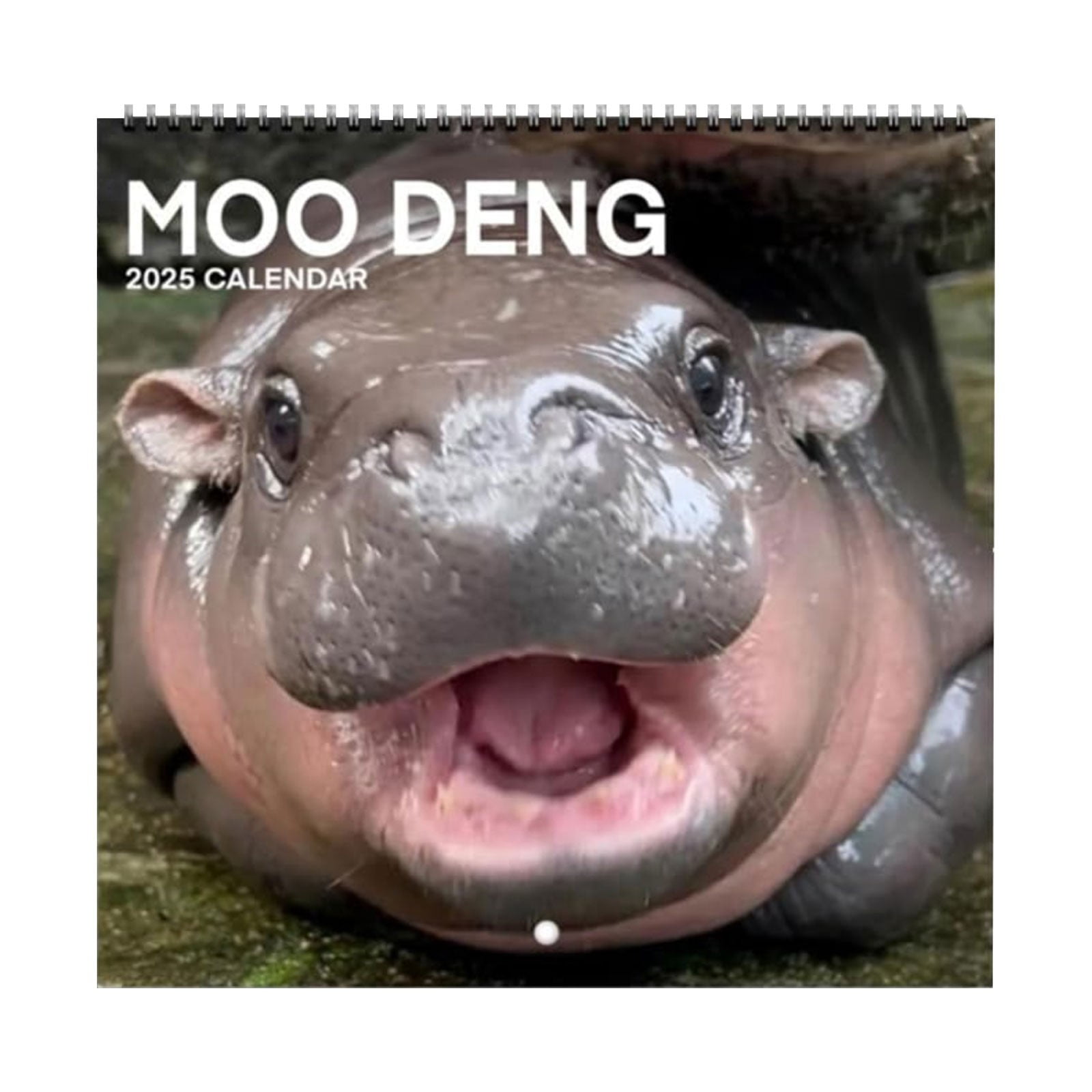 Moo Deng Calendar, 2025 Moo Deng Pygmy Hippo Hangable Monthly Wall ...
