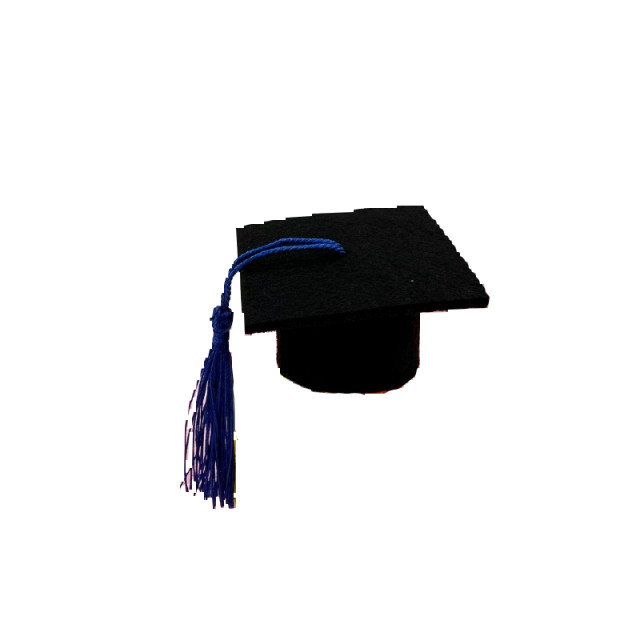 Moocorvic 10Pcs Graduation Decorations 2025 Mini Graduation Cap ...