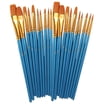 ARTIFY 15 Pieces Paint Brush Set, Intermediate Series, Includes Pop-Up ...