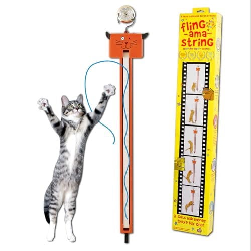 Moody Pet FLING-AMA-STRING Automatic cat toy: Interactive Cat Toy for ...