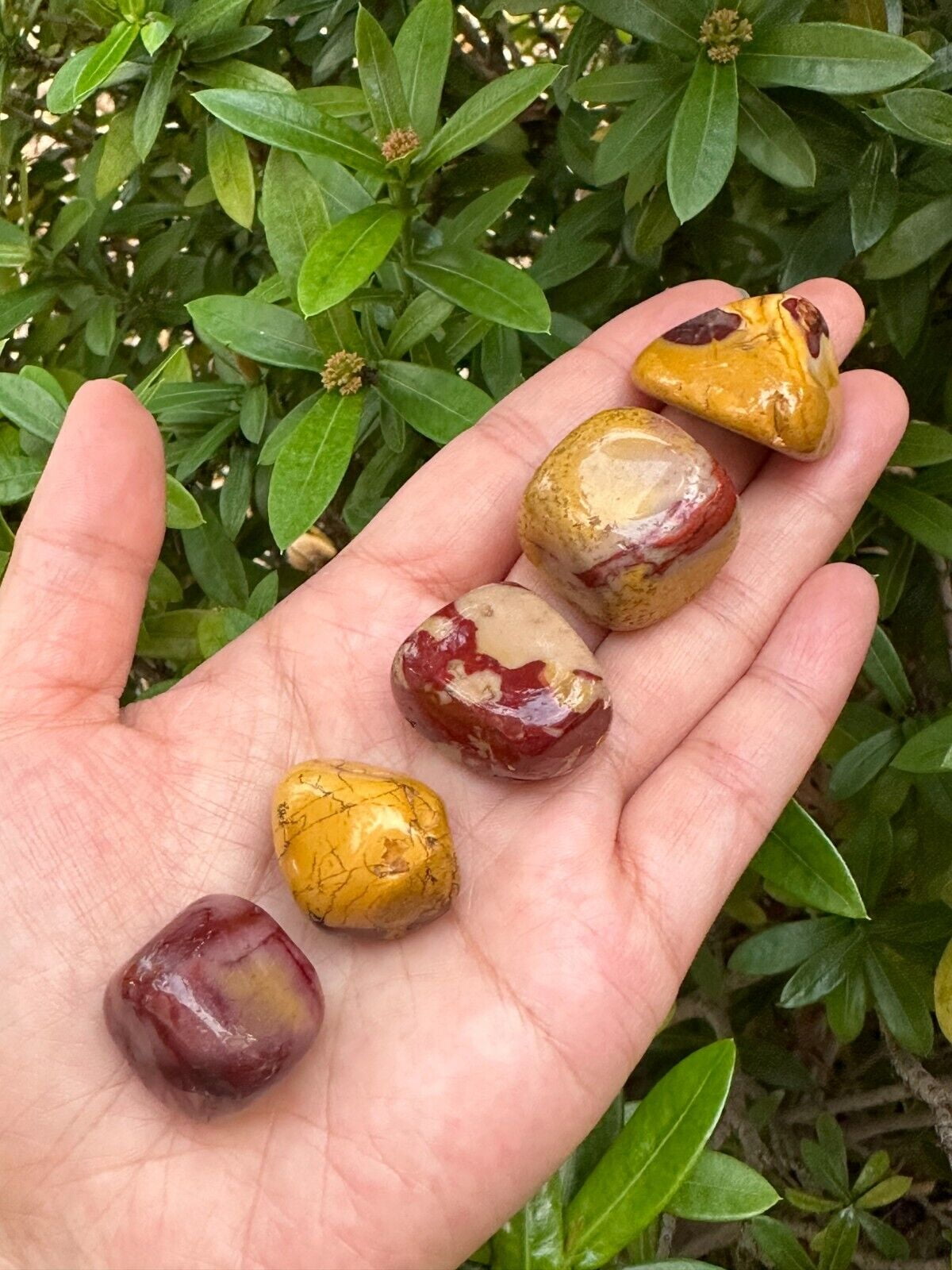 Mookaite Tumbled Stones, 0.75-1.25 Inch Tumbled Mookaite Stones, Pick ...