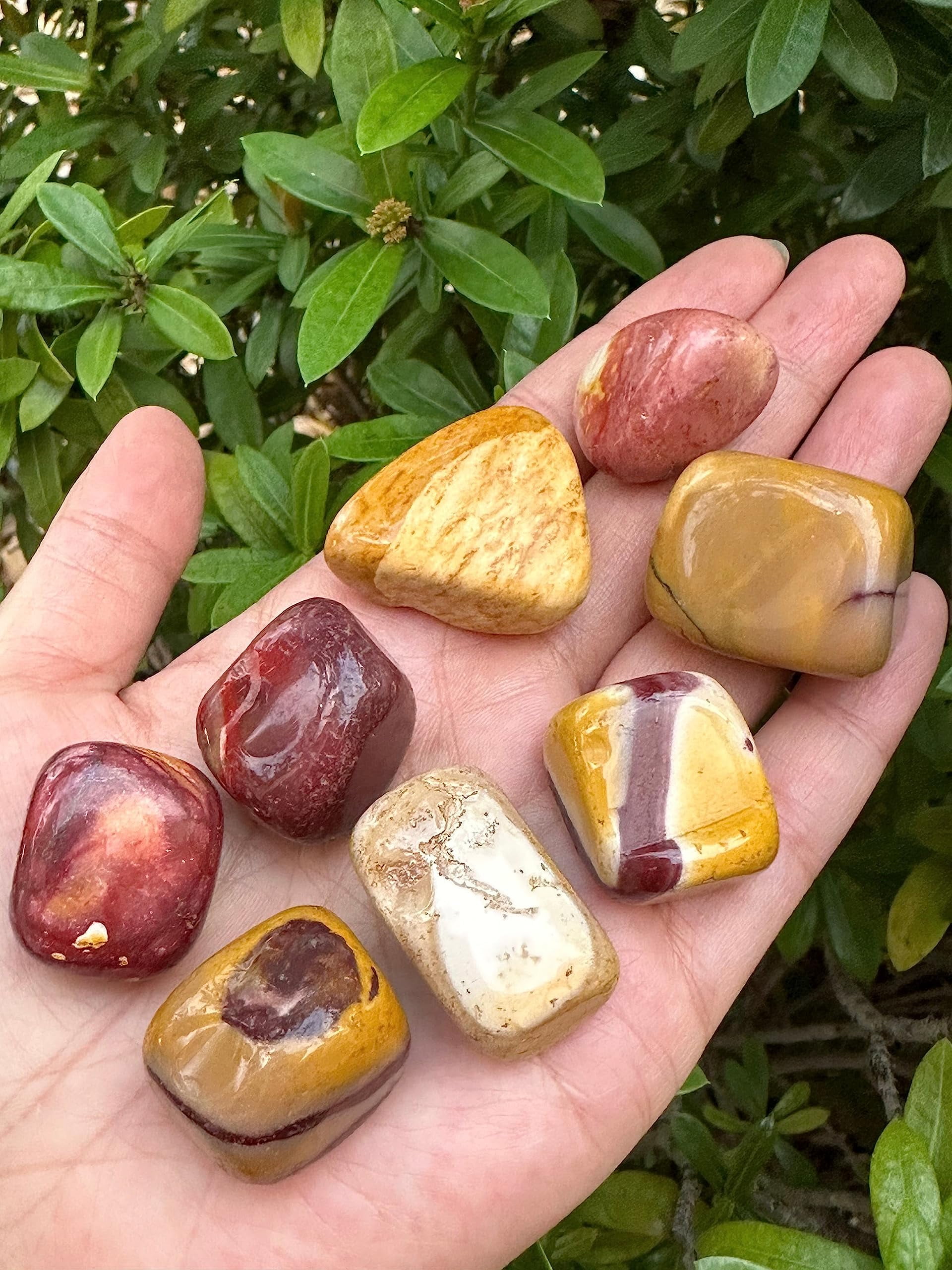 Mookaite Tumbled Stones, Polished Mookaite Gemstone, Mookaite Healing Crystals (Mookaite, 1 ...
